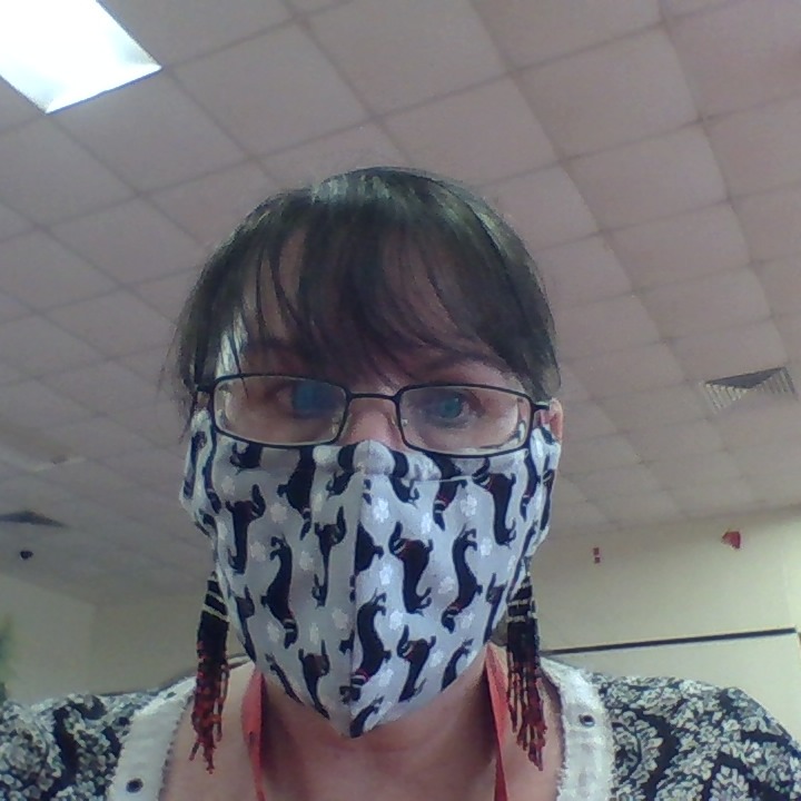 Brazos Independent School District