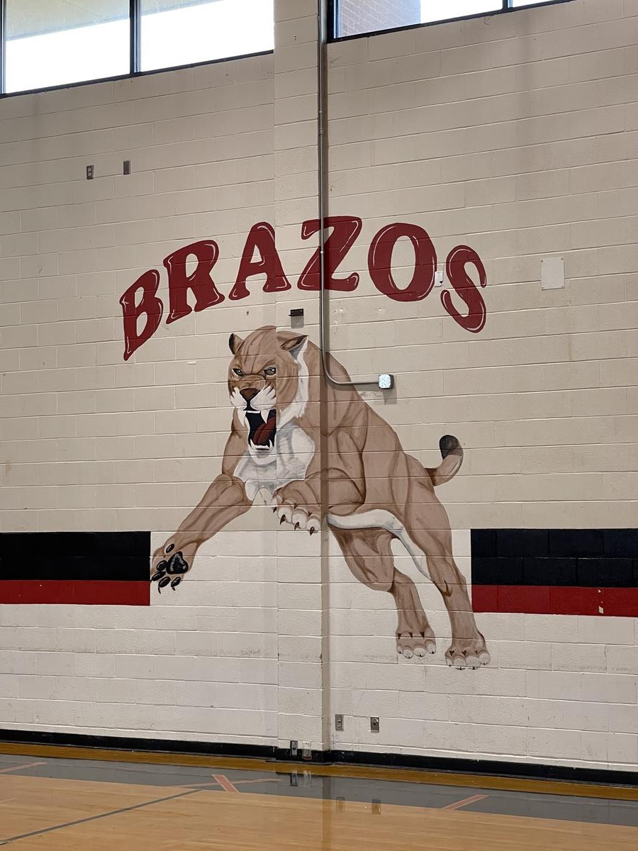 Brazos Independent School District